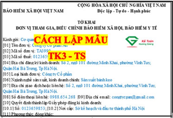 Hướng dẫn điền mẫu TK3-TS theo Quyết định 490/QĐ-BHXH - BHXH - BHYT - BHTN - KPCĐ